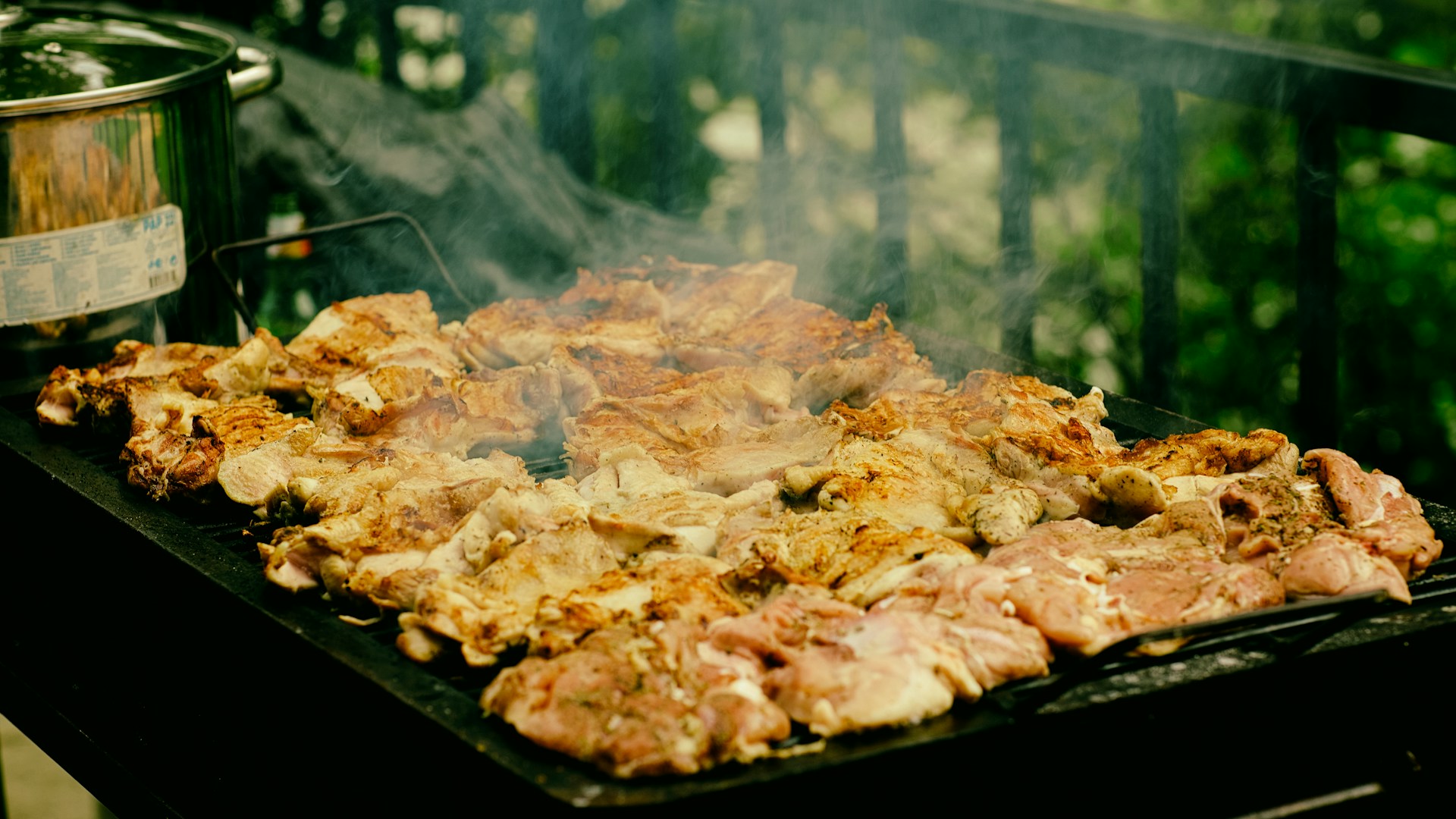 Health Time - Carnivore Diet Portion Sizes: How Much Meat Should You Eat?